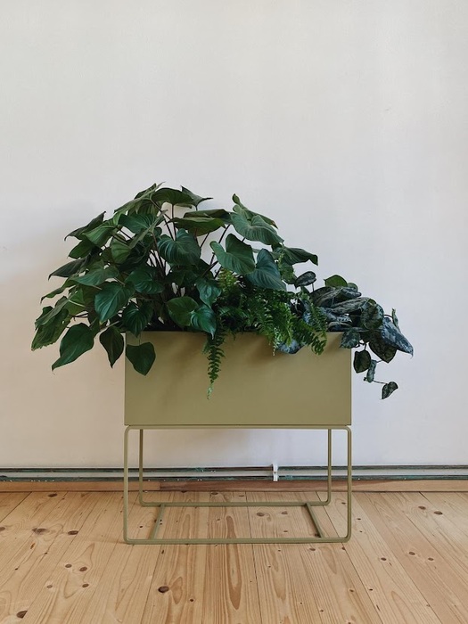 REFERENCE :: Pralan s. r. o.